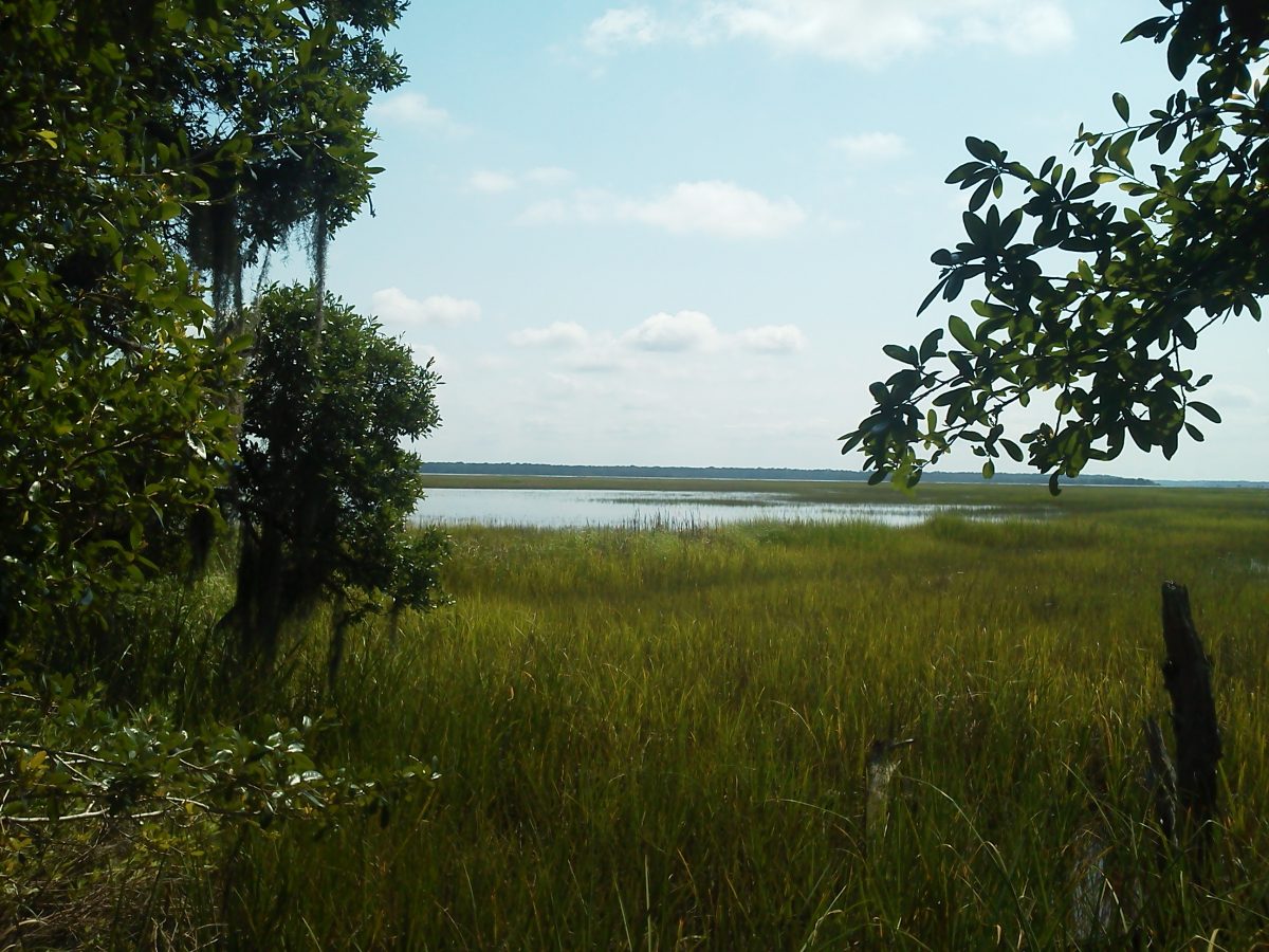 Real Estate – Palm Key